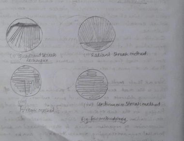 ISOLATION OF BACTERIA BY STREAK PLATE METHOD. - All Bachelor